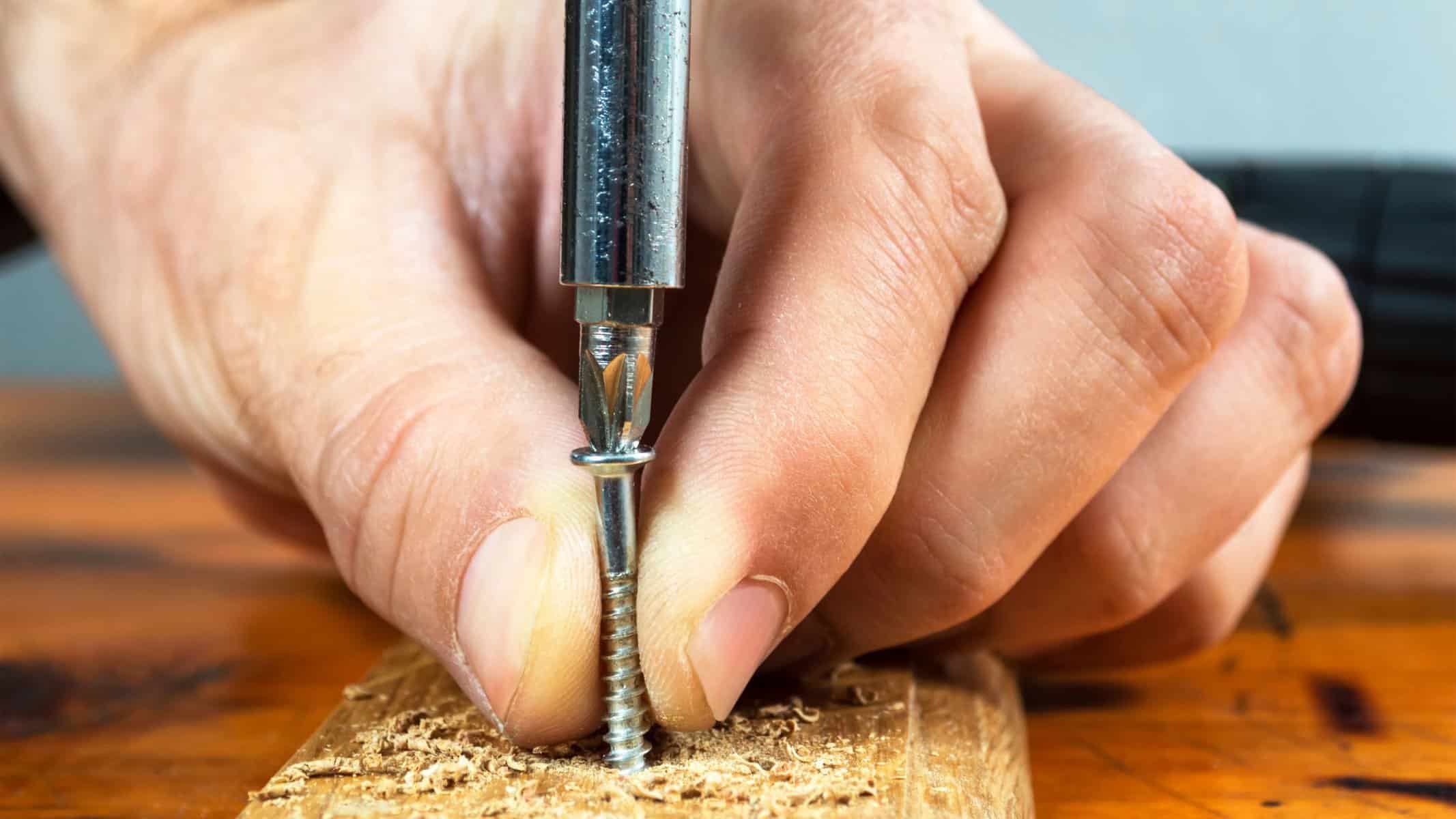 Main Types Of Screws: What Types Of Screws Are There?